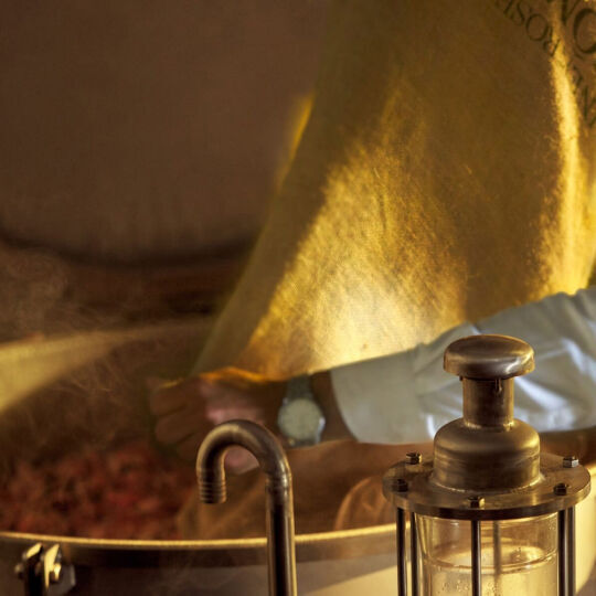 DOMAINE DE LA ROSE | Lancôme