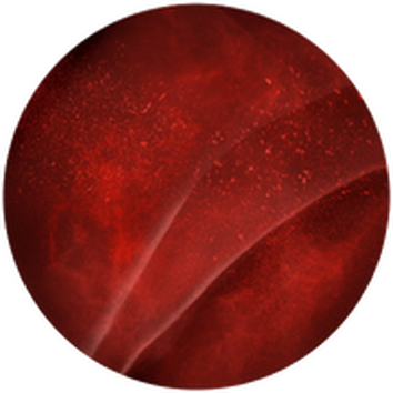 L'Absolu Rouge Intimatte - Mat à l’Effet Flouté | Lancôme